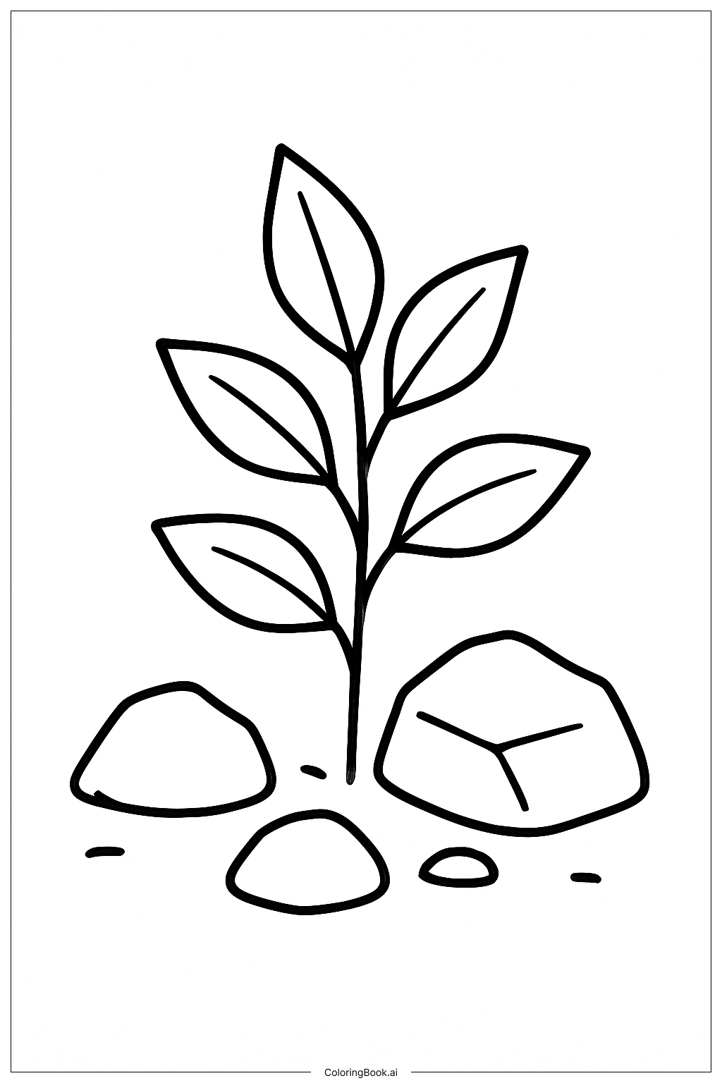 Plant and Small Rocks Coloring Page (Free PDF&PNG Printable)