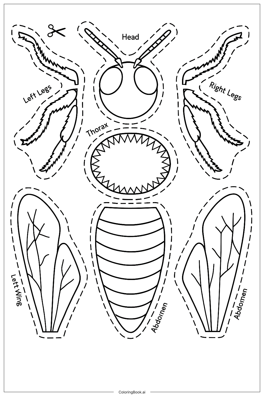 Coloring Page: Build Your Own Insect: Fun Craft Template for Kids to ...